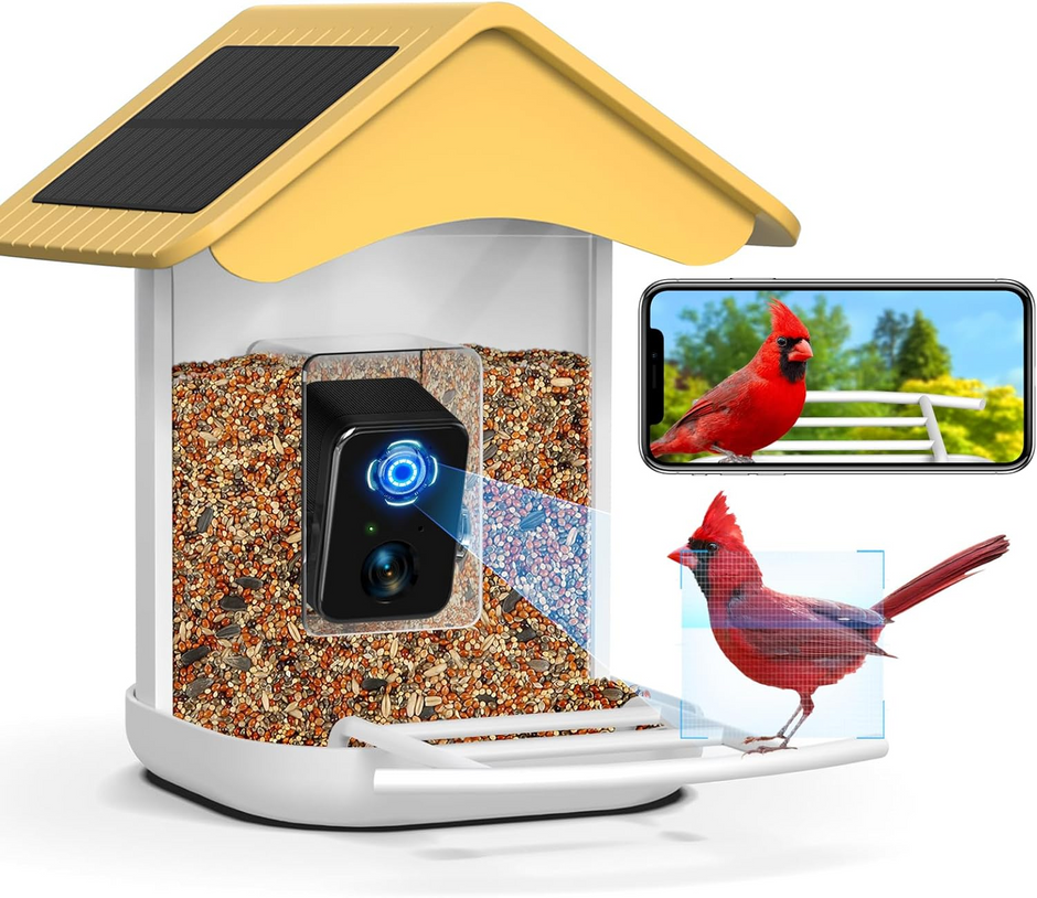 AI Smart Bird Feeder Camera Auto Capture Bird Bird Species Microphone ...