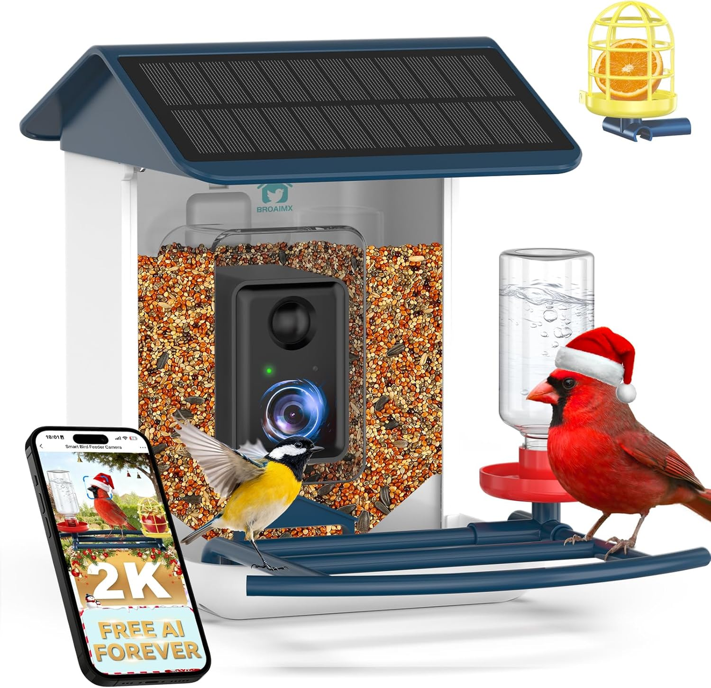 AI Smart Bird Feeder Camera Auto Capture Bird Bird Species Microphone
